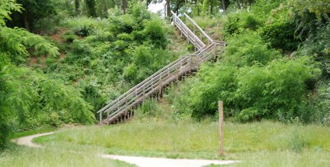 Le parc du Mont Bernon à découvrir en famille // Epernay | Kidiklik