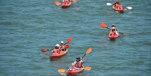 Sortie en kayak sur le lac du Der // en famille // Giffaumont | Kidiklik